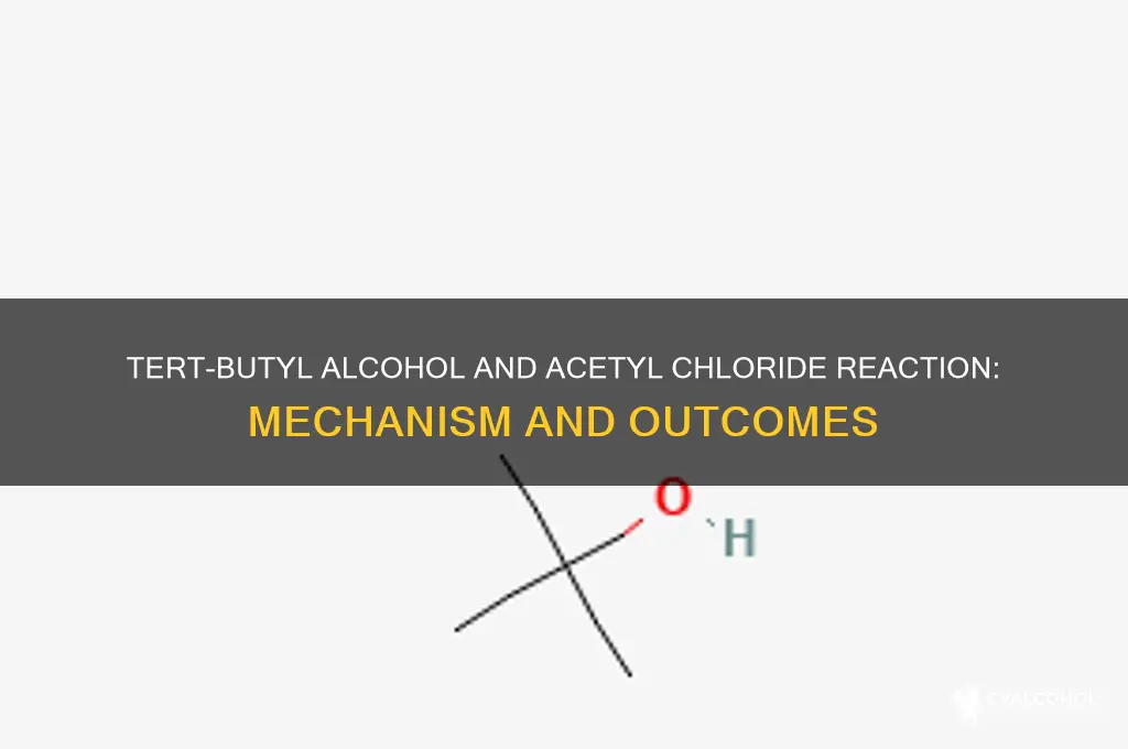 Tert-Butyl Alcohol And Acetyl Chloride Reaction: Mechanism And Outcomes ...