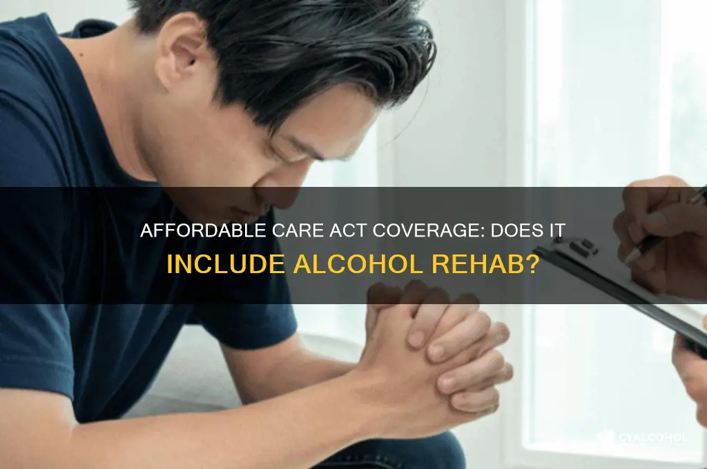 Affordable Care Act Coverage: Does It Include Alcohol Rehab? | CyAlcohol