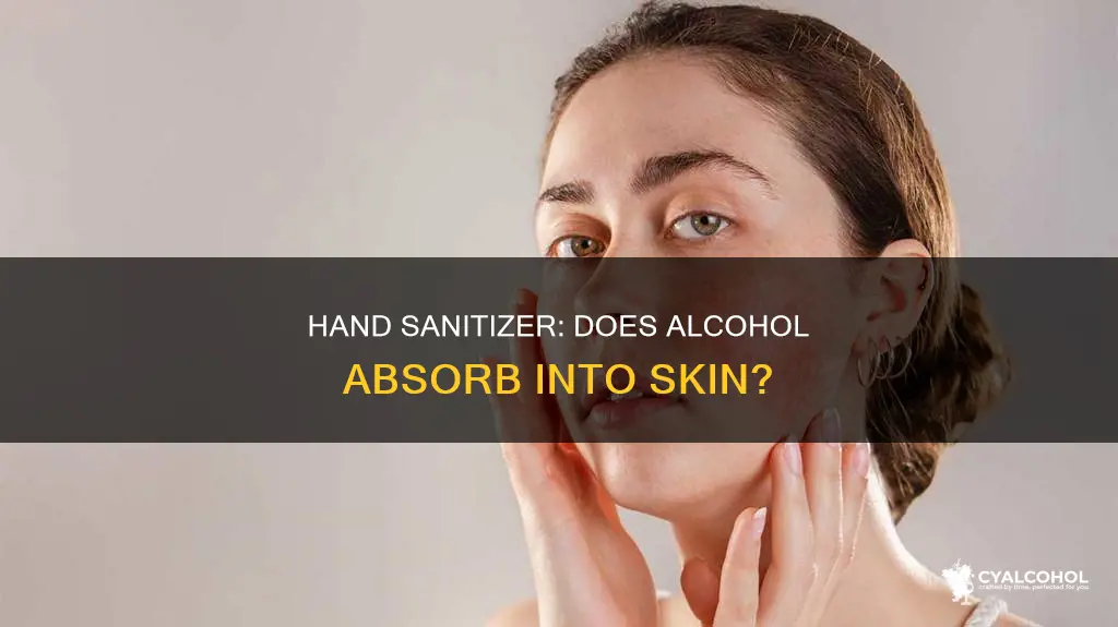 Hand Sanitizer: Does Alcohol Absorb Into Skin? | CyAlcohol