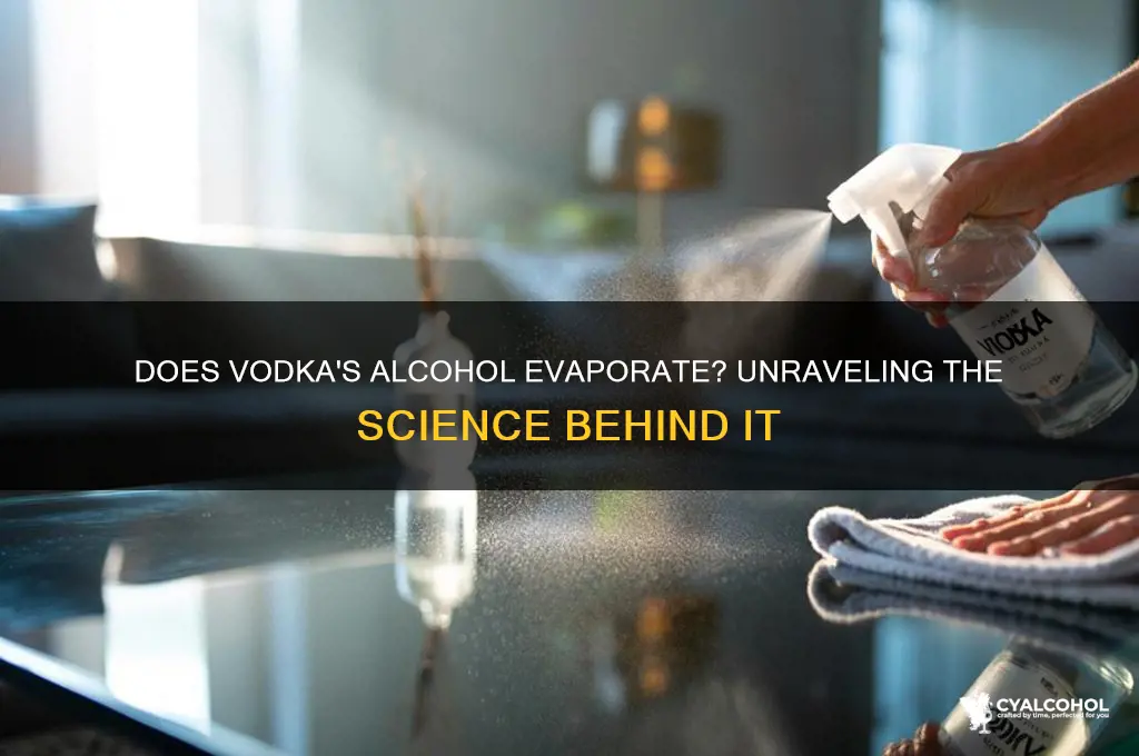 Does Vodka's Alcohol Evaporate? Unraveling The Science Behind It ...