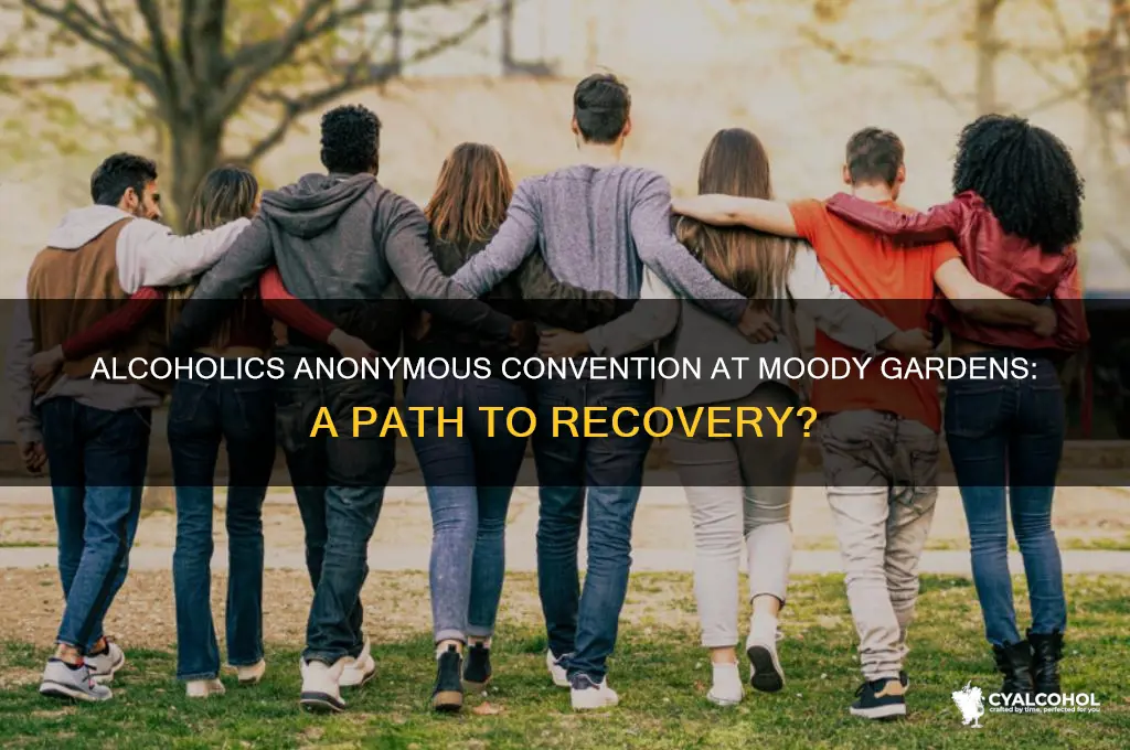 Alcoholics Anonymous Convention At Moody Gardens: A Path To Recovery ...