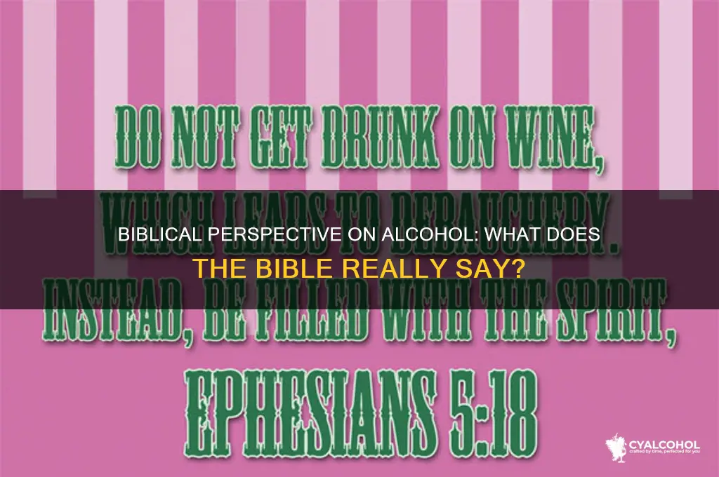 Biblical Perspective On Alcohol: What Does The Bible Really Say ...
