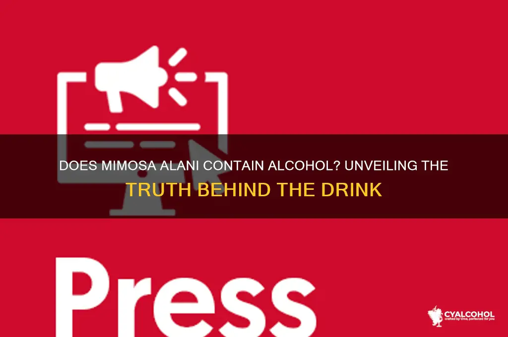 Does Mimosa Alani Contain Alcohol? Unveiling The Truth Behind The Drink ...