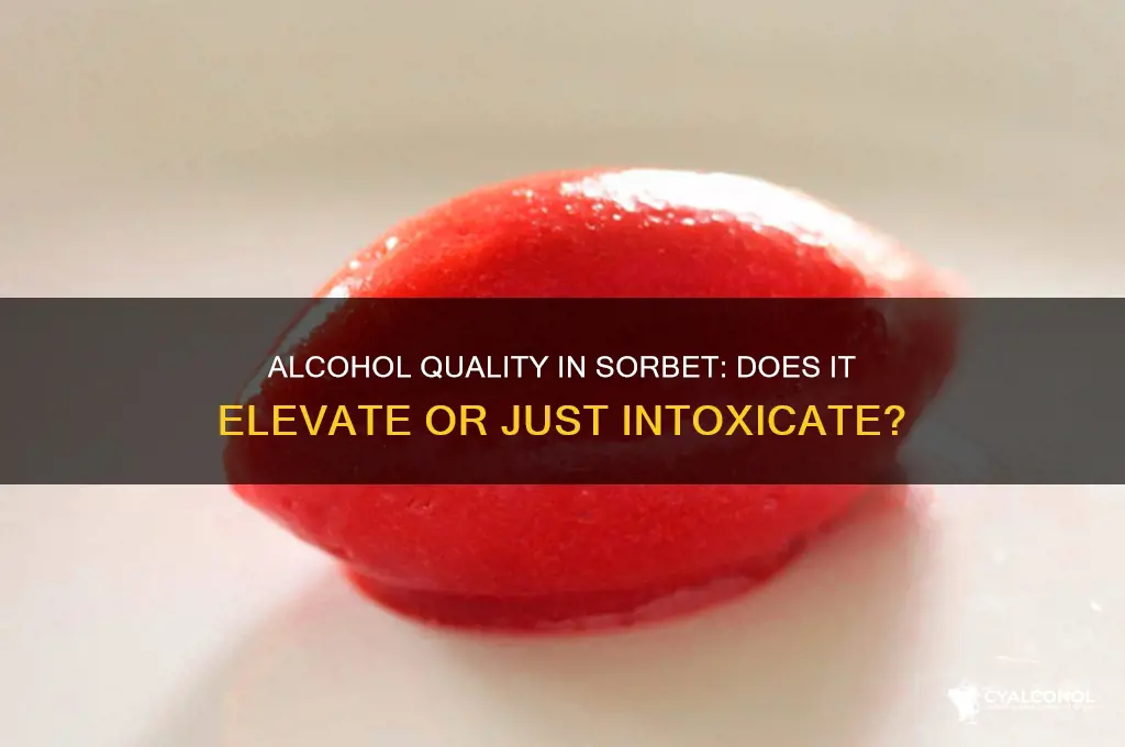 Alcohol Quality In Sorbet: Does It Elevate Or Just Intoxicate? | CyAlcohol