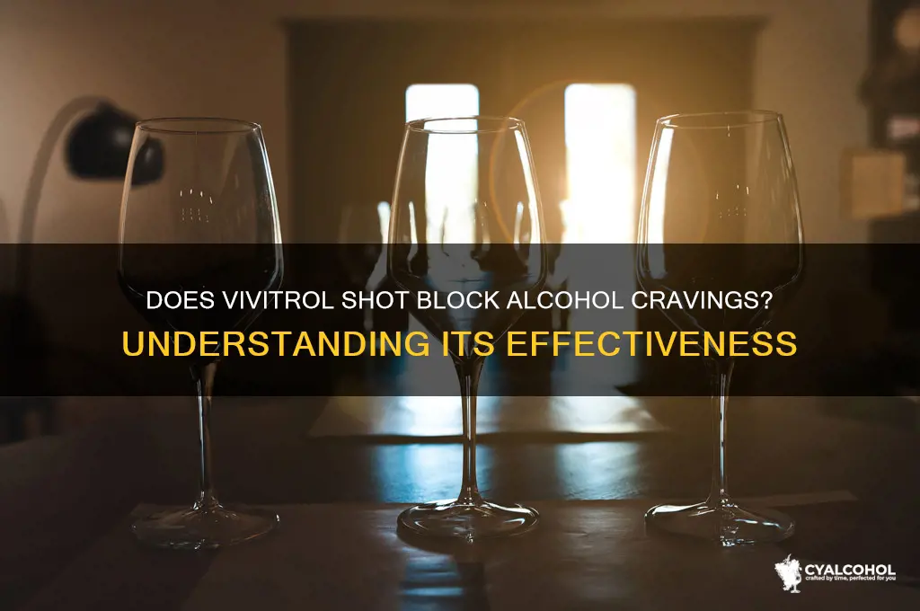 Does Vivitrol Shot Block Alcohol Cravings? Understanding Its ...