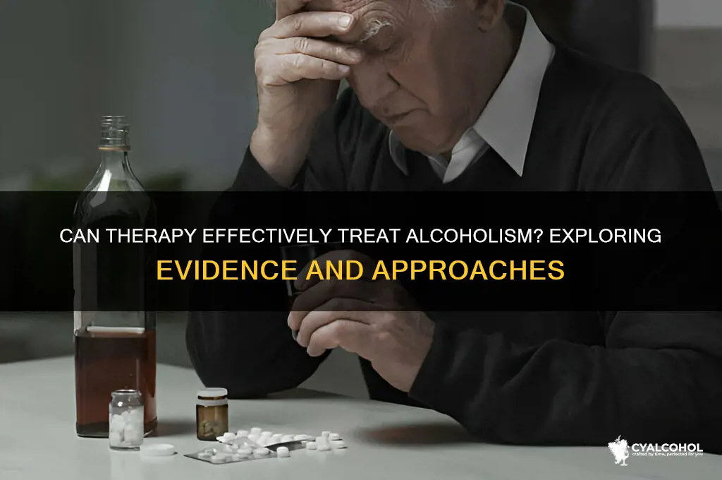 Can Therapy Effectively Treat Alcoholism? Exploring Evidence And ...
