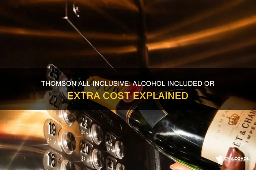 Thomson All-Inclusive: Alcohol Included Or Extra Cost Explained | CyAlcohol