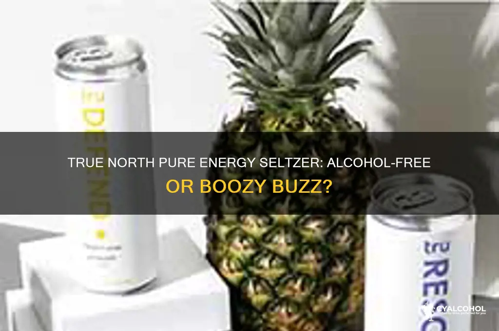 True North Pure Energy Seltzer: Alcohol-Free Or Boozy Buzz? | CyAlcohol