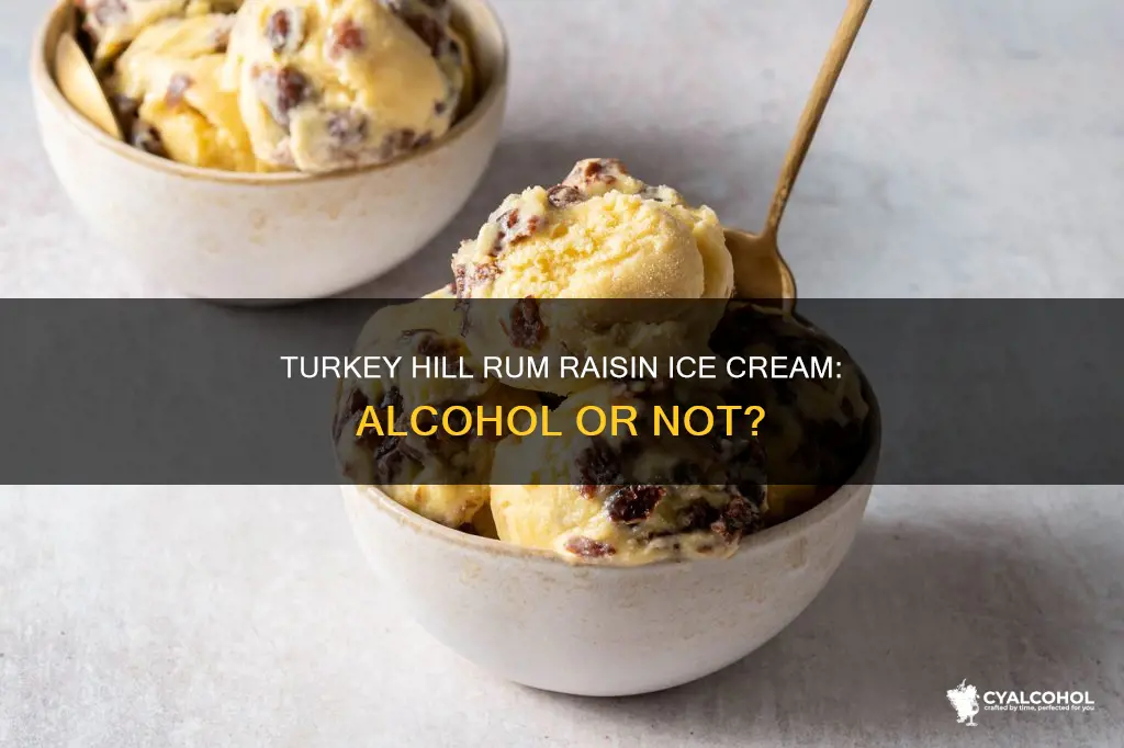 Turkey Hill Rum Raisin Ice Cream: Alcohol Or Not? | CyAlcohol