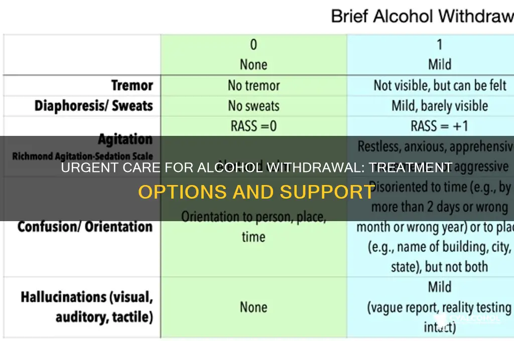 Urgent Care For Alcohol Withdrawal: Treatment Options And Support ...