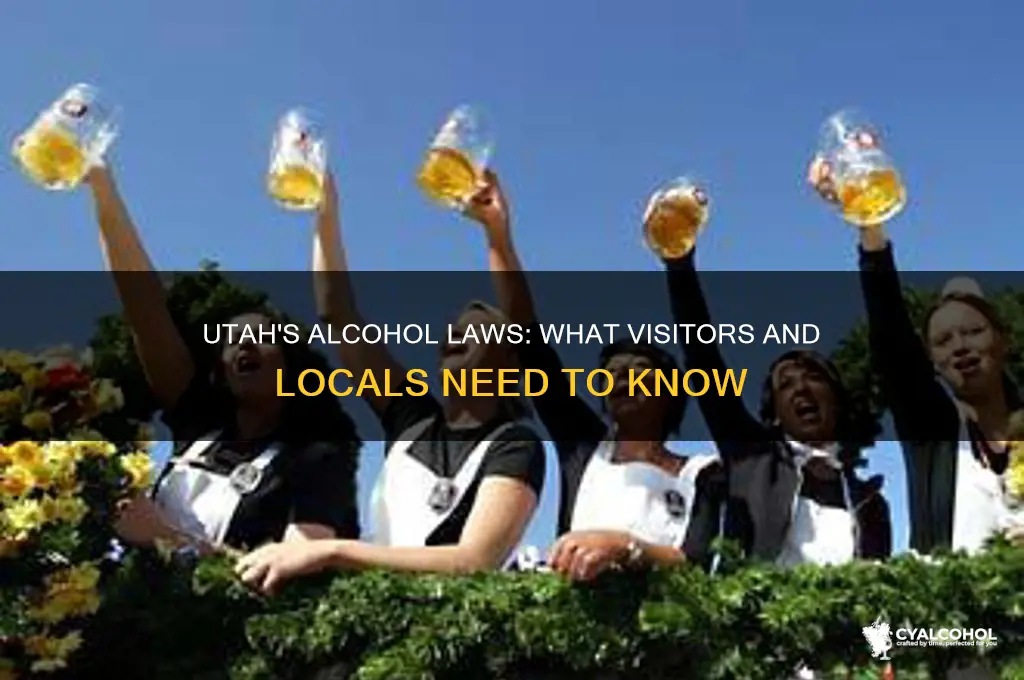 Utah's Alcohol Laws: What Visitors And Locals Need To Know | CyAlcohol