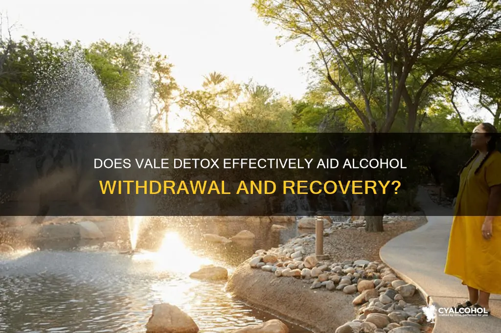 Does Vale Detox Effectively Aid Alcohol Withdrawal And Recovery ...