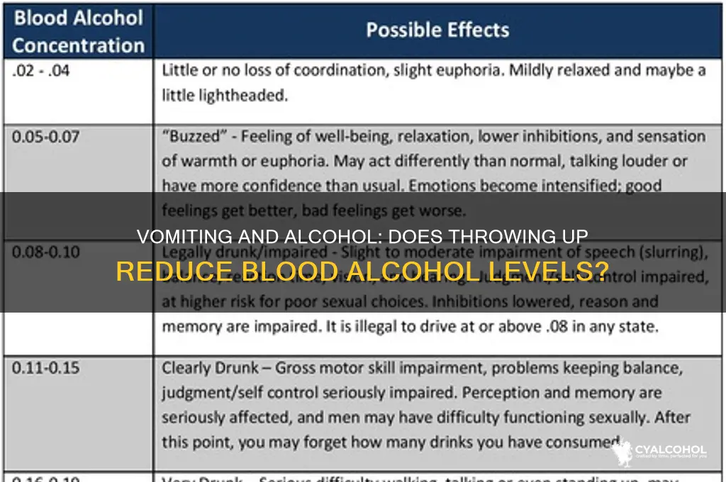Vomiting And Alcohol: Does Throwing Up Reduce Blood Alcohol Levels ...