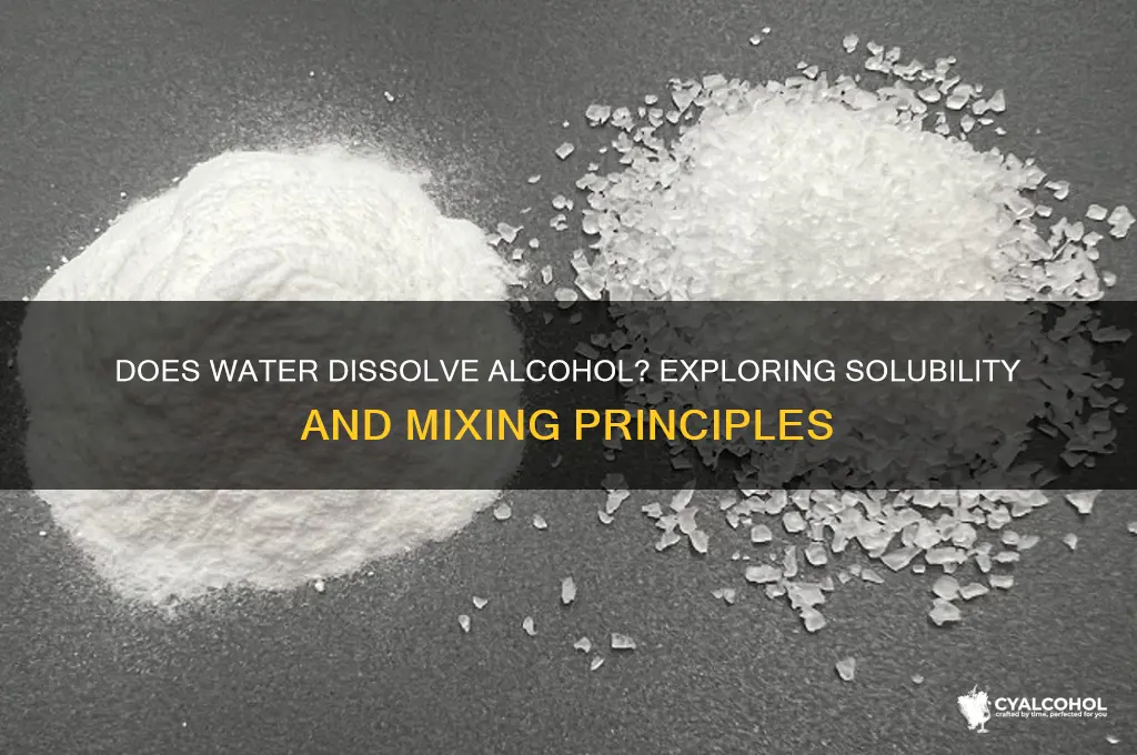 Does Water Dissolve Alcohol? Exploring Solubility And Mixing Principles ...