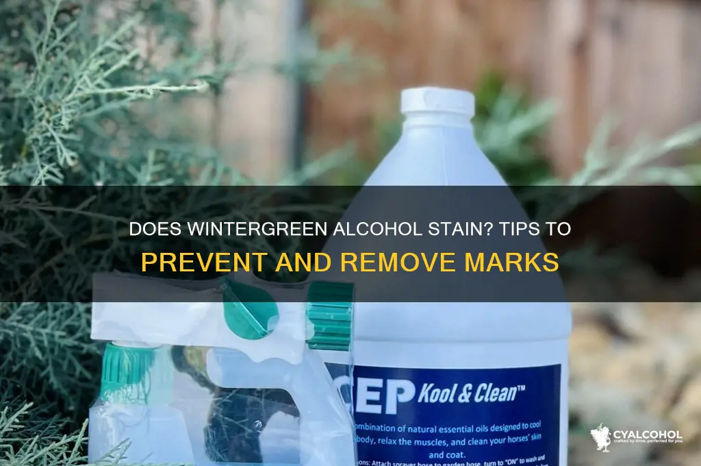 Does Wintergreen Alcohol Stain? Tips To Prevent And Remove Marks ...