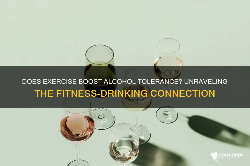 Does Exercise Boost Alcohol Tolerance? Unraveling The Fitness-Drinking ...