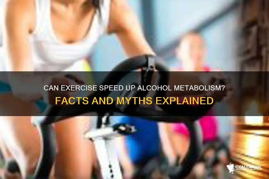 Can Exercise Speed Up Alcohol Metabolism? Facts And Myths Explained ...