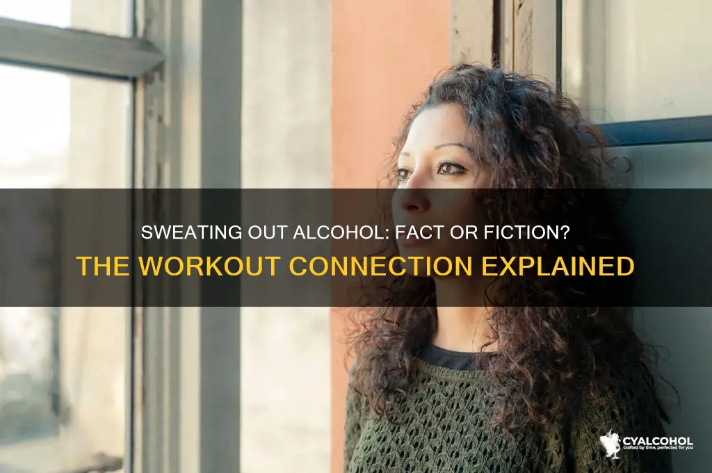 Sweating Out Alcohol: Fact Or Fiction? The Workout Connection Explained ...