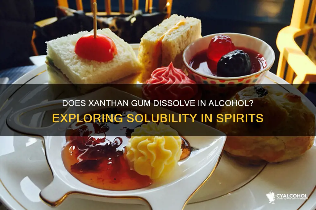 Does Xanthan Gum Dissolve In Alcohol? Exploring Solubility In Spirits ...