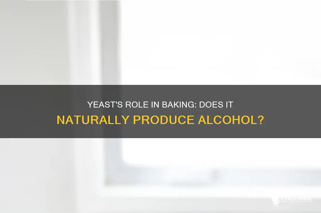 Yeast's Role In Baking: Does It Naturally Produce Alcohol? | CyAlcohol