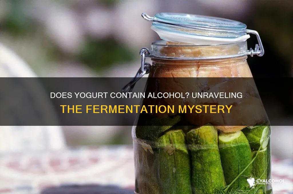 Does Yogurt Contain Alcohol? Unraveling The Fermentation Mystery ...
