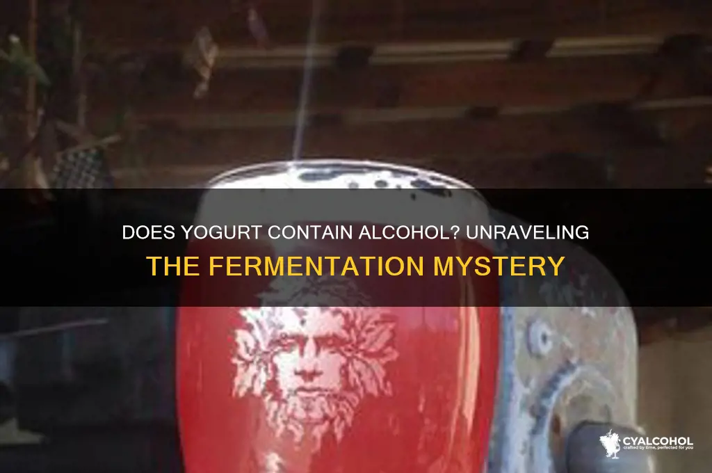 Does Yogurt Contain Alcohol? Unraveling The Fermentation Mystery ...