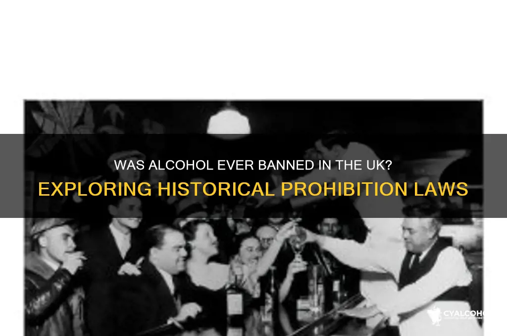 Was Alcohol Ever Banned In The Uk? Exploring Historical Prohibition ...