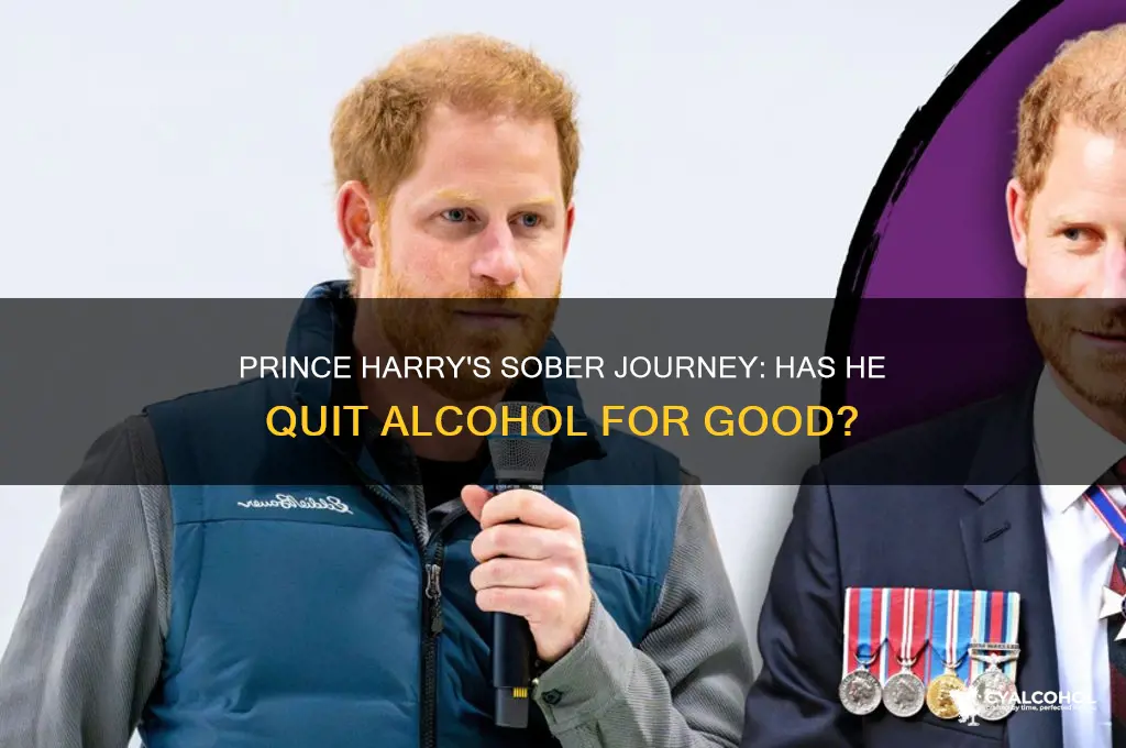 Prince Harry's Sober Journey: Has He Quit Alcohol For Good? | CyAlcohol