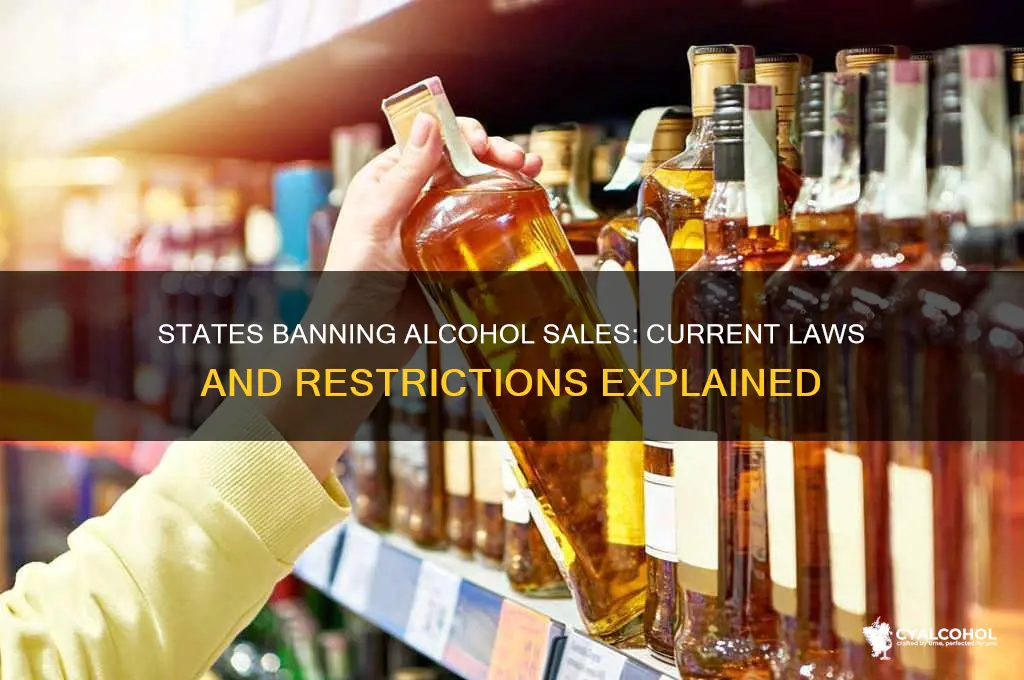 States Banning Alcohol Sales: Current Laws And Restrictions Explained ...