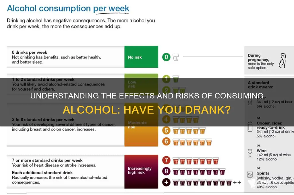 Understanding The Effects And Risks Of Consuming Alcohol: Have You ...
