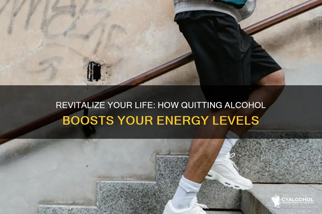 Revitalize Your Life: How Quitting Alcohol Boosts Your Energy Levels ...