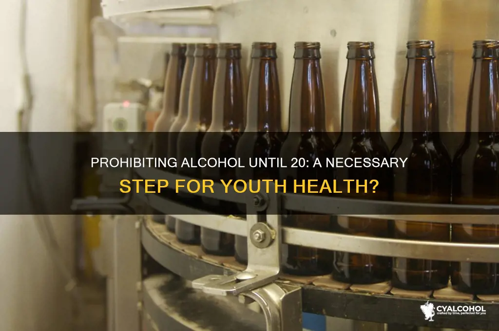 Prohibiting Alcohol Until 20: A Necessary Step For Youth Health ...
