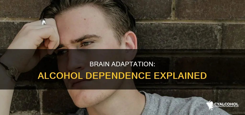 Brain Adaptation: Alcohol Dependence Explained | CyAlcohol