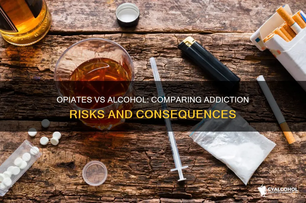Opiates Vs Alcohol: Comparing Addiction Risks And Consequences | CyAlcohol