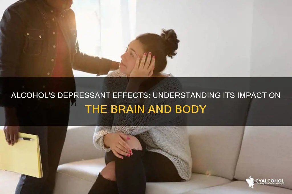 Alcohol's Depressant Effects: Understanding Its Impact On The Brain And ...