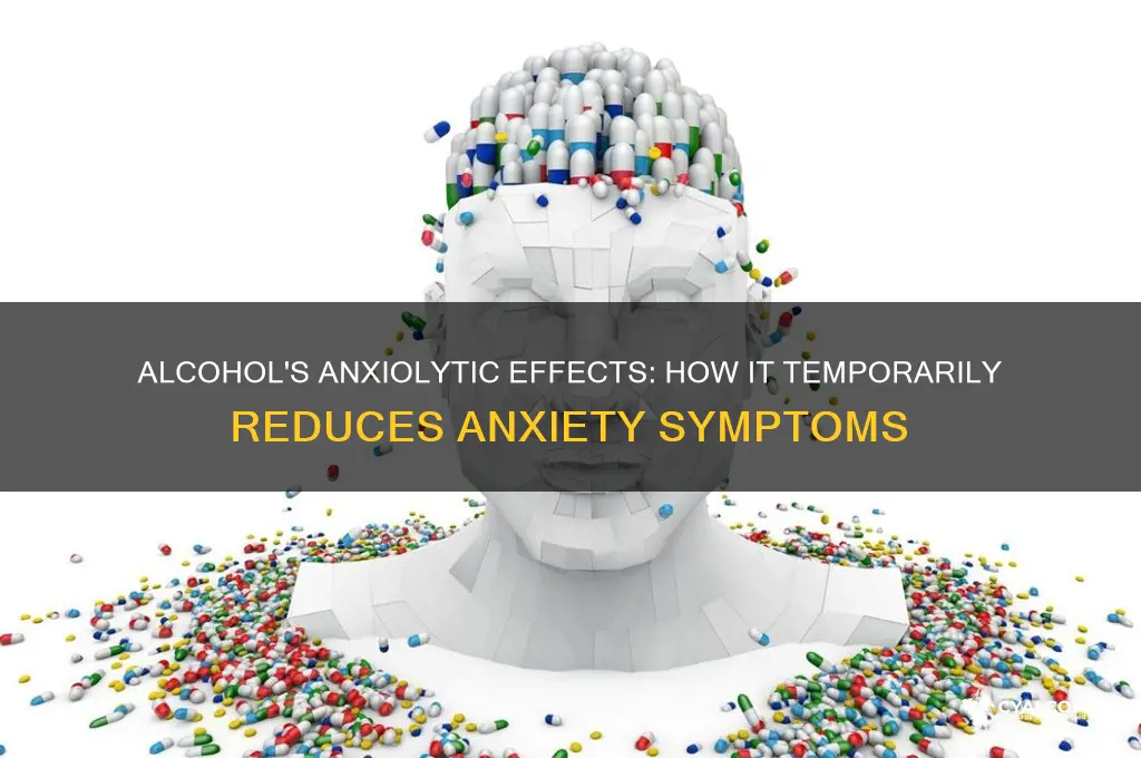 Alcohol's Anxiolytic Effects: How It Temporarily Reduces Anxiety ...