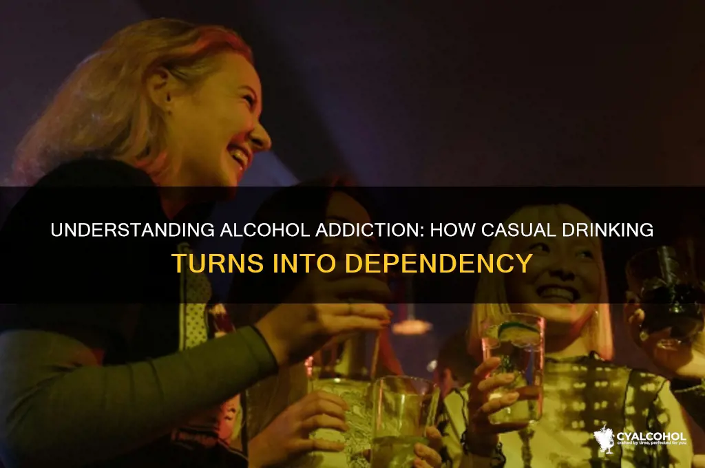 Understanding Alcohol Addiction: How Casual Drinking Turns Into ...