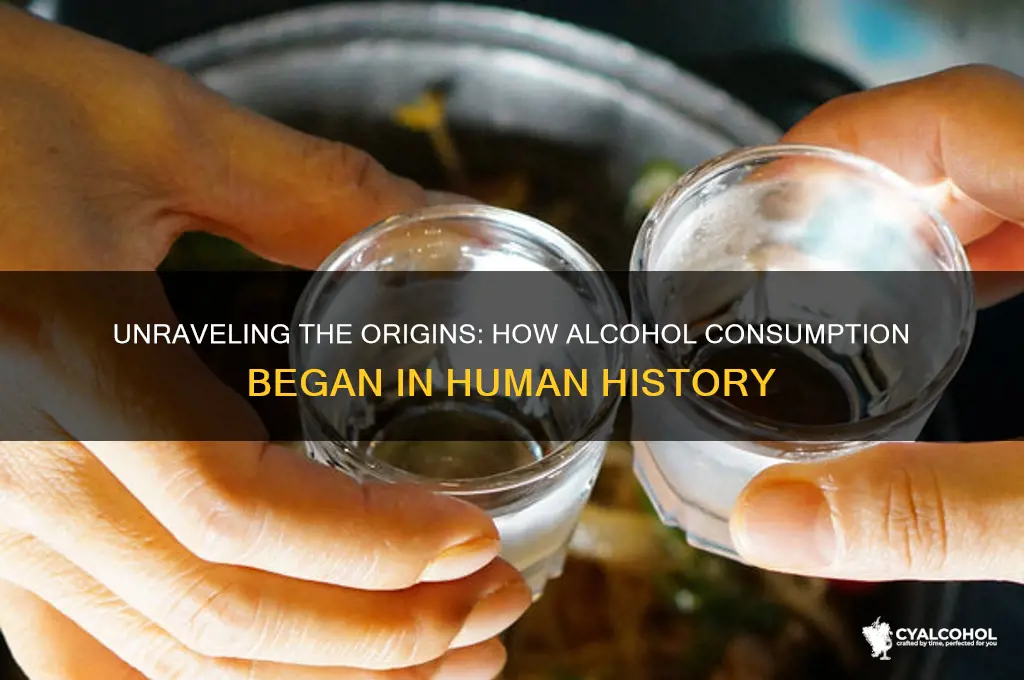 Unraveling The Origins: How Alcohol Consumption Began In Human History ...