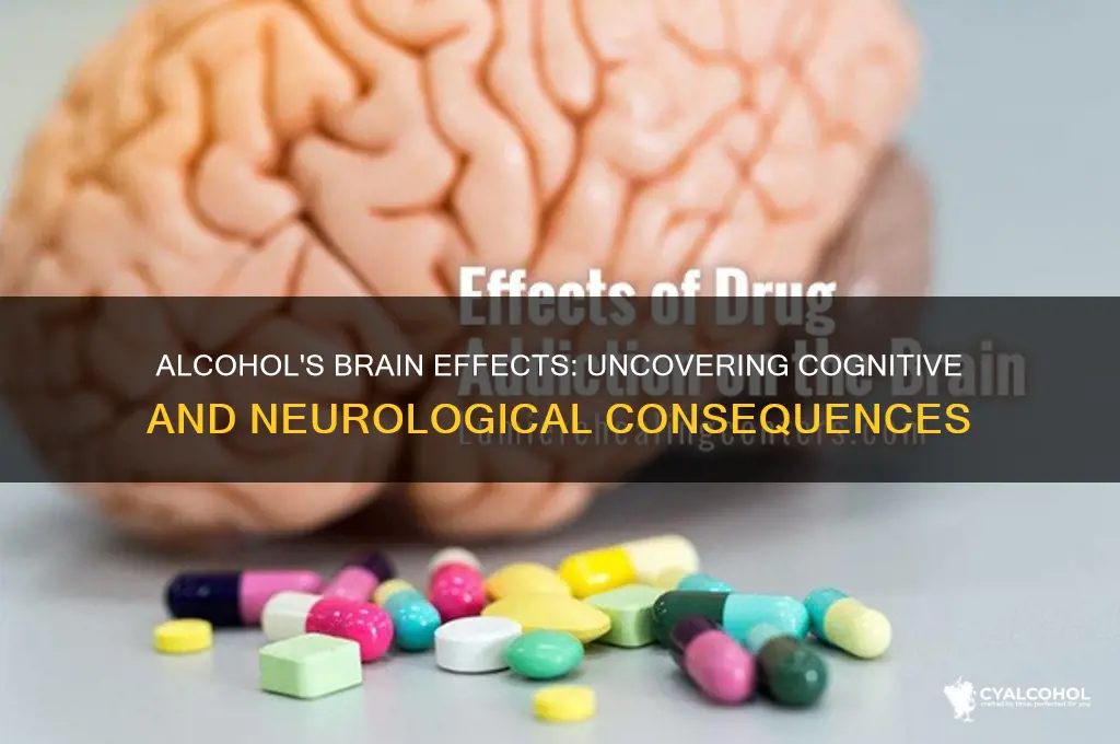 Alcohol's Brain Effects: Uncovering Cognitive And Neurological ...