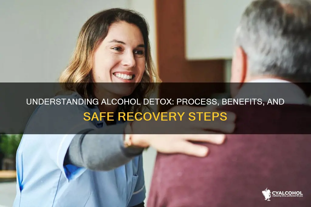 Understanding Alcohol Detox: Process, Benefits, And Safe Recovery Steps ...