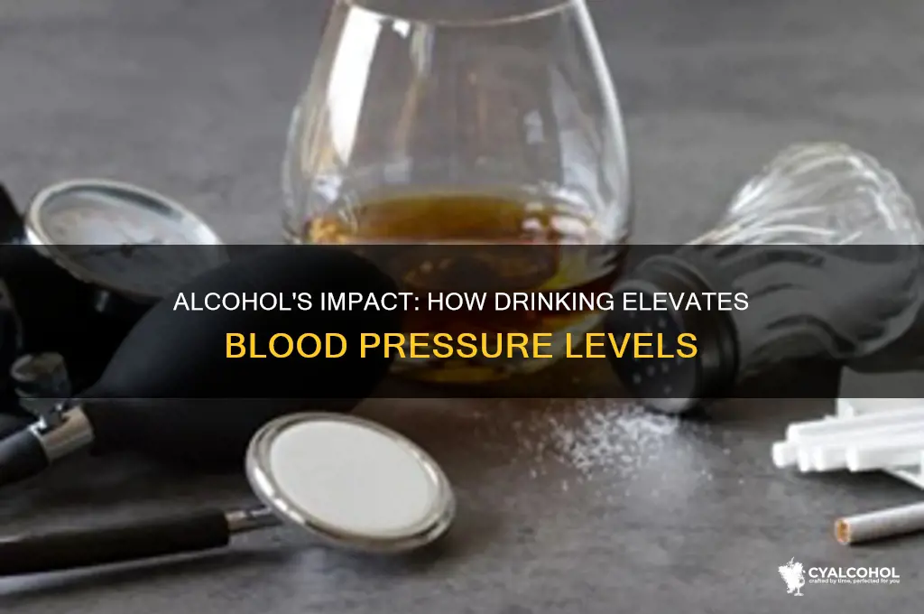Alcohol's Impact: How Drinking Elevates Blood Pressure Levels | CyAlcohol