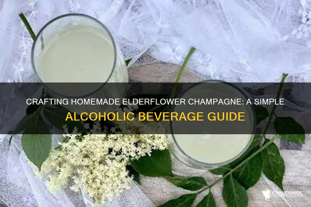 Crafting Homemade Elderflower Champagne: A Simple Alcoholic Beverage ...