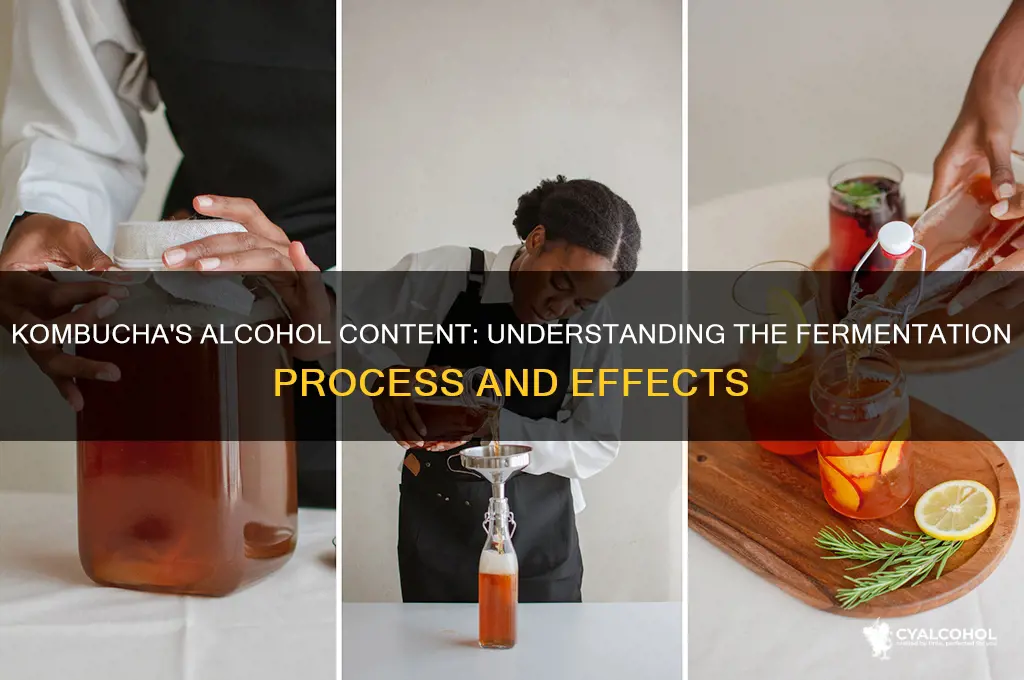 Kombucha's Alcohol Content: Understanding The Fermentation Process And ...