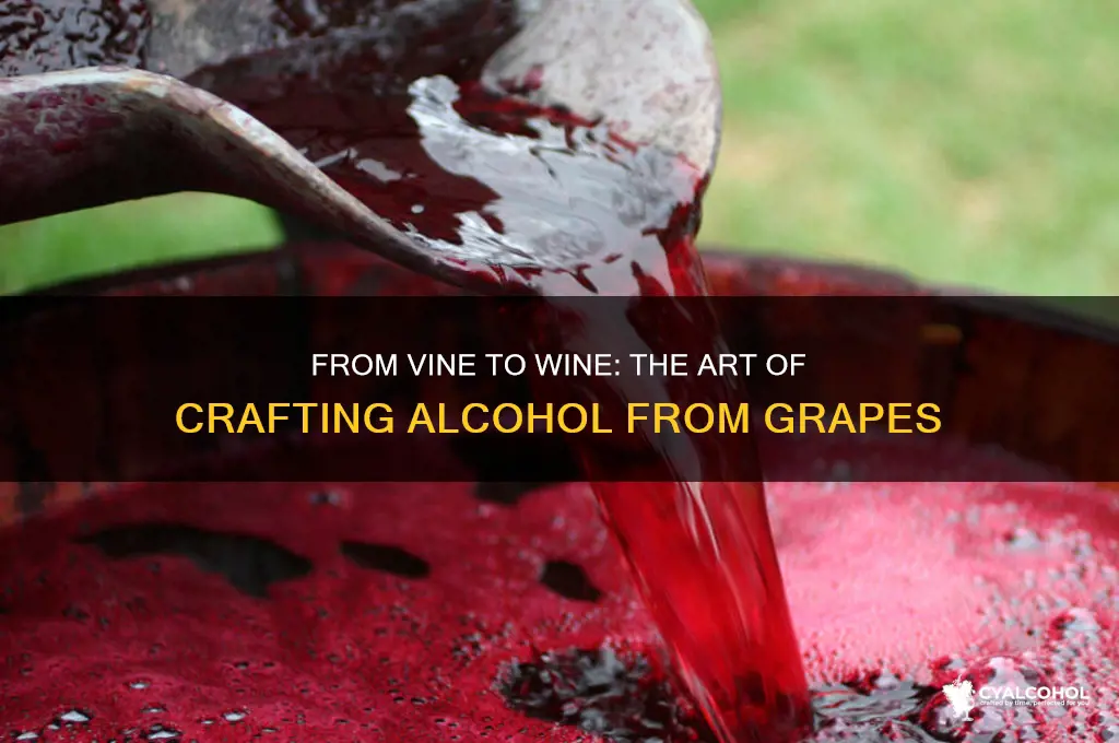 From Vine To Wine: The Art Of Crafting Alcohol From Grapes | CyAlcohol