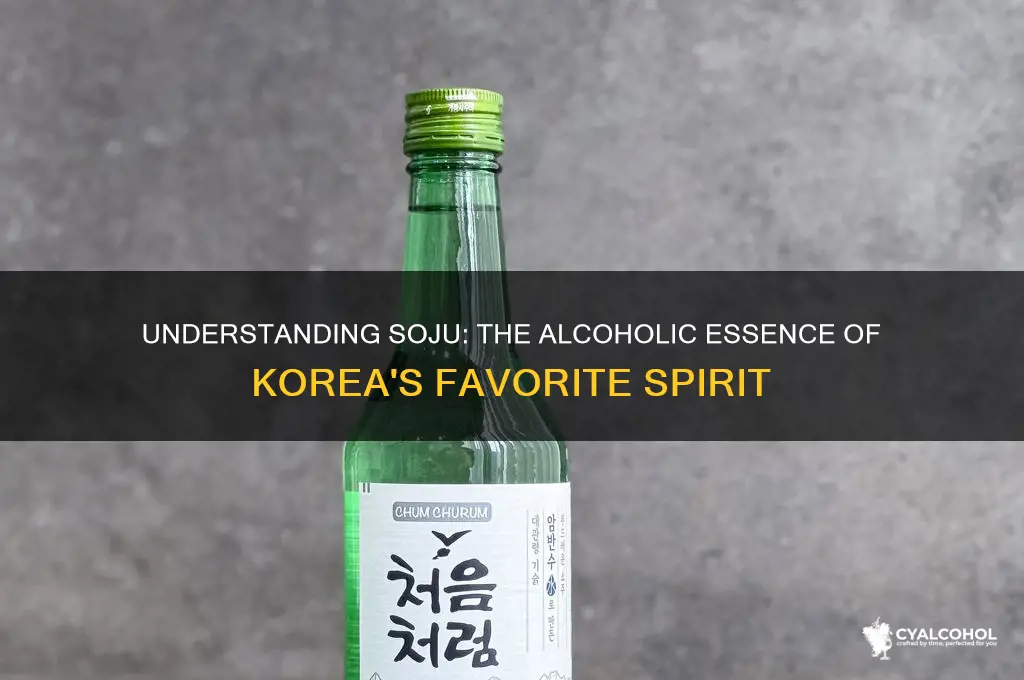 Understanding Soju: The Alcoholic Essence Of Korea's Favorite Spirit ...