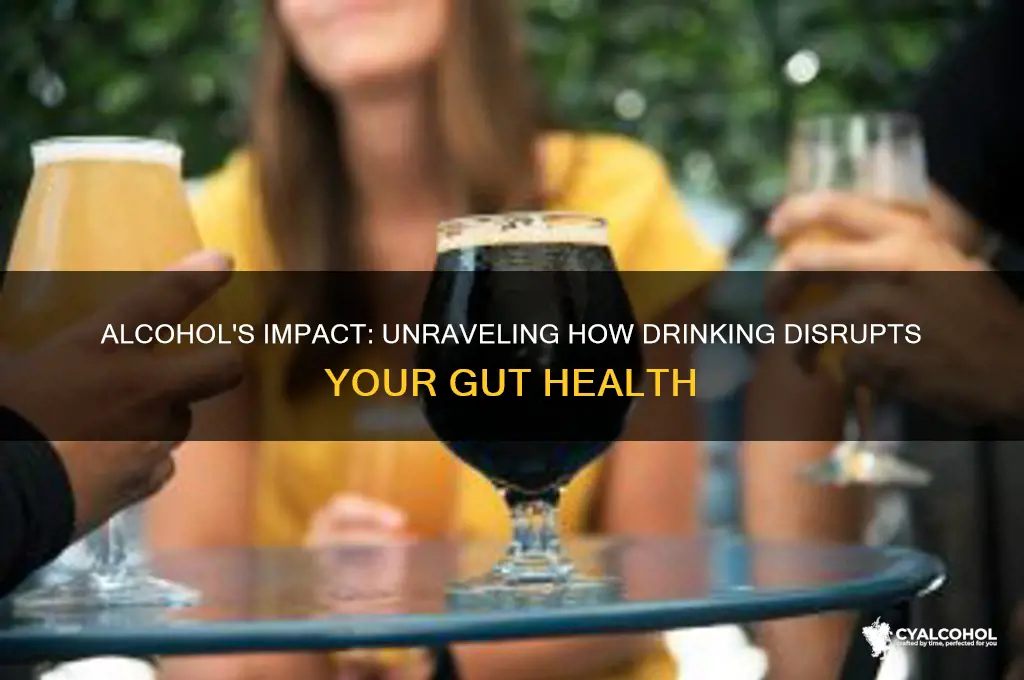 Alcohol's Impact: Unraveling How Drinking Disrupts Your Gut Health ...