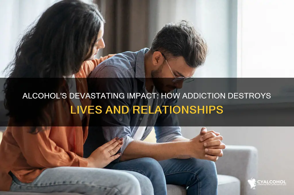 Alcohol's Devastating Impact: How Addiction Destroys Lives And ...