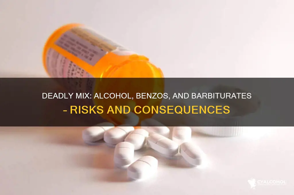 Deadly Mix: Alcohol, Benzos, And Barbiturates – Risks And Consequences ...