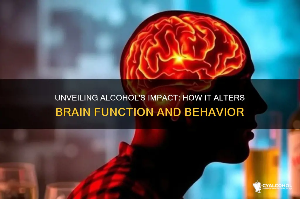 Unveiling Alcohol's Impact: How It Alters Brain Function And Behavior ...