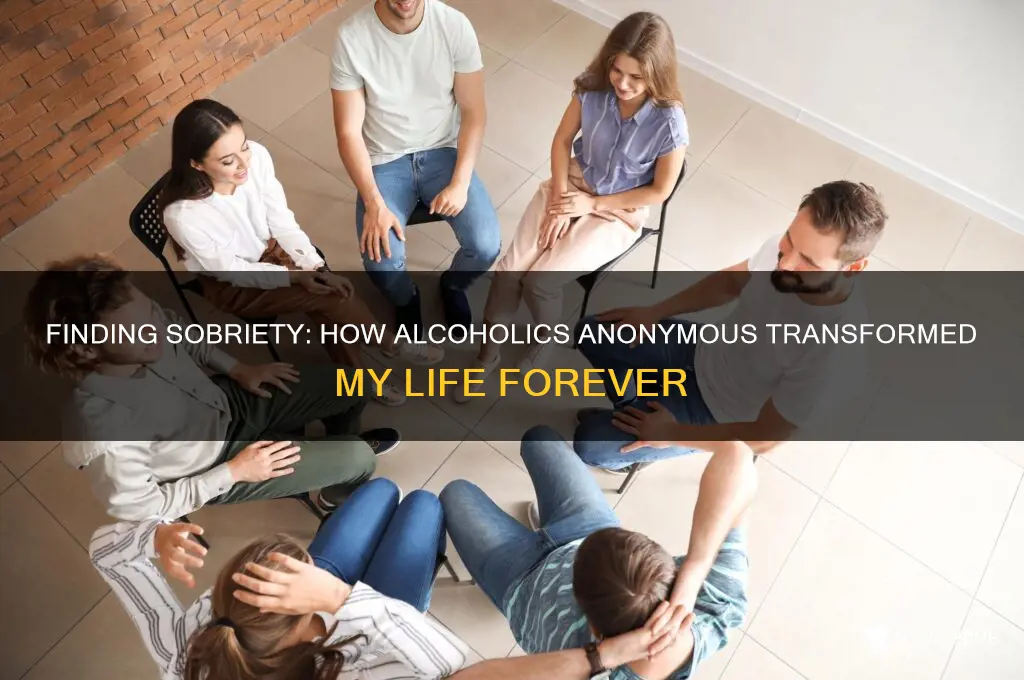 Finding Sobriety: How Alcoholics Anonymous Transformed My Life Forever ...